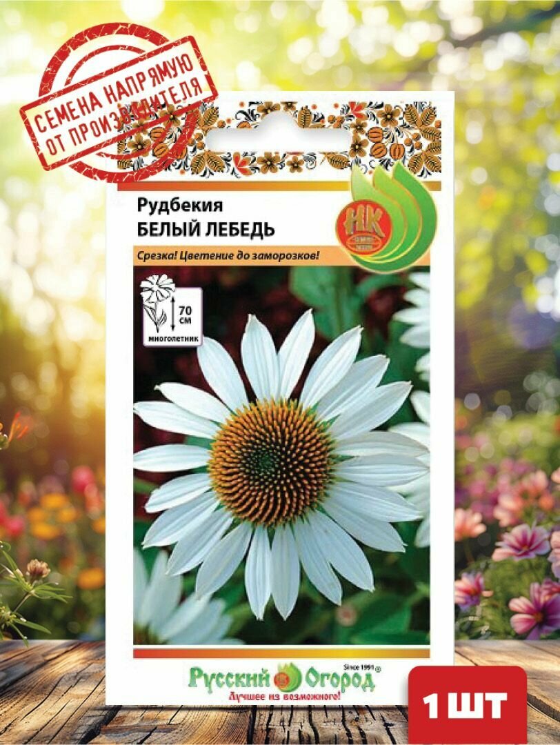 Рудбекия Белый Лебедь