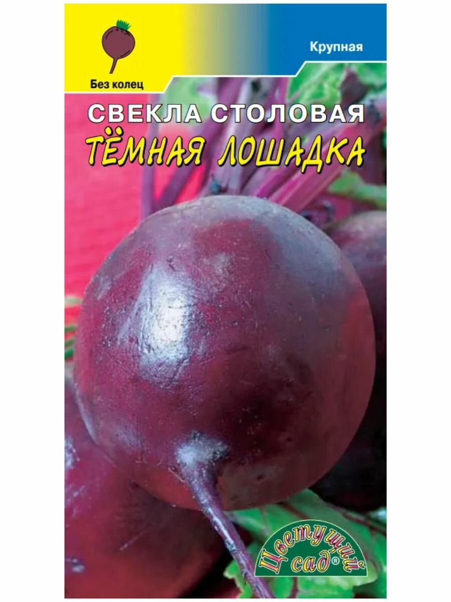 Свекла Темная лошадка 2 г, высокоурожайный сорт столовой свеклы, высокие вкусовые качества