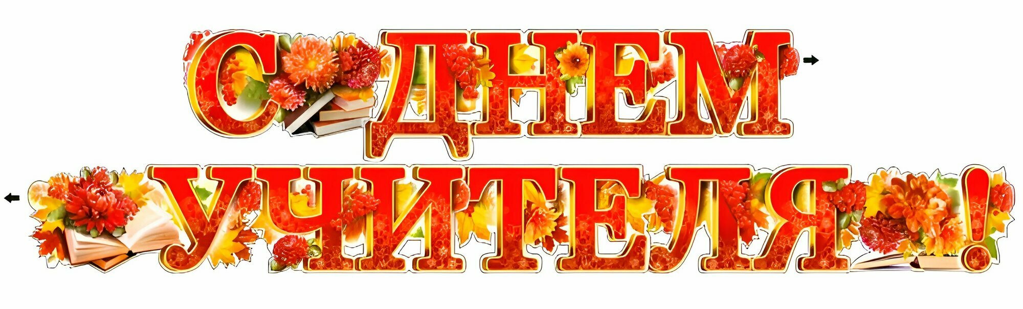 Растяжка "С Днем Учителя!" (астры с книгой), 210см
