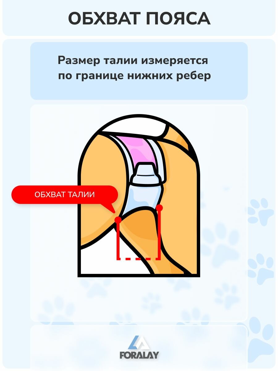 Pet Diapers 12 pcs — фото 1