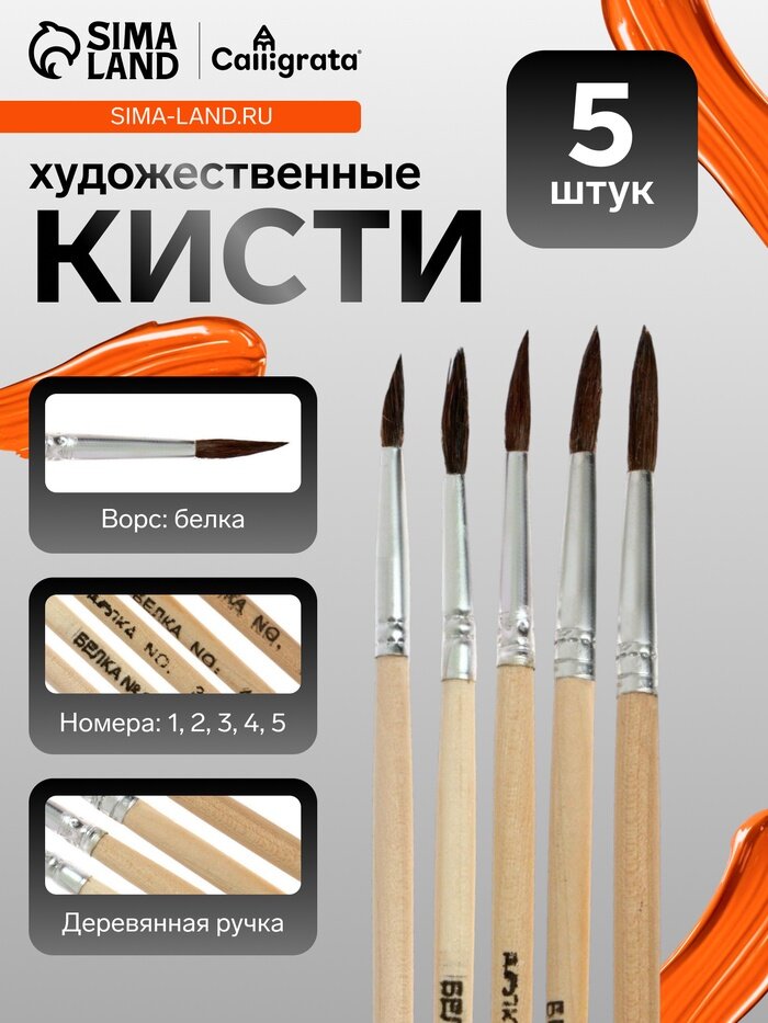 Набор кистей для рисования, белка, 5 штук: № 1, 2, 3, 4, 5, круглые, деревянная ручка, международный размер, 2 шт.