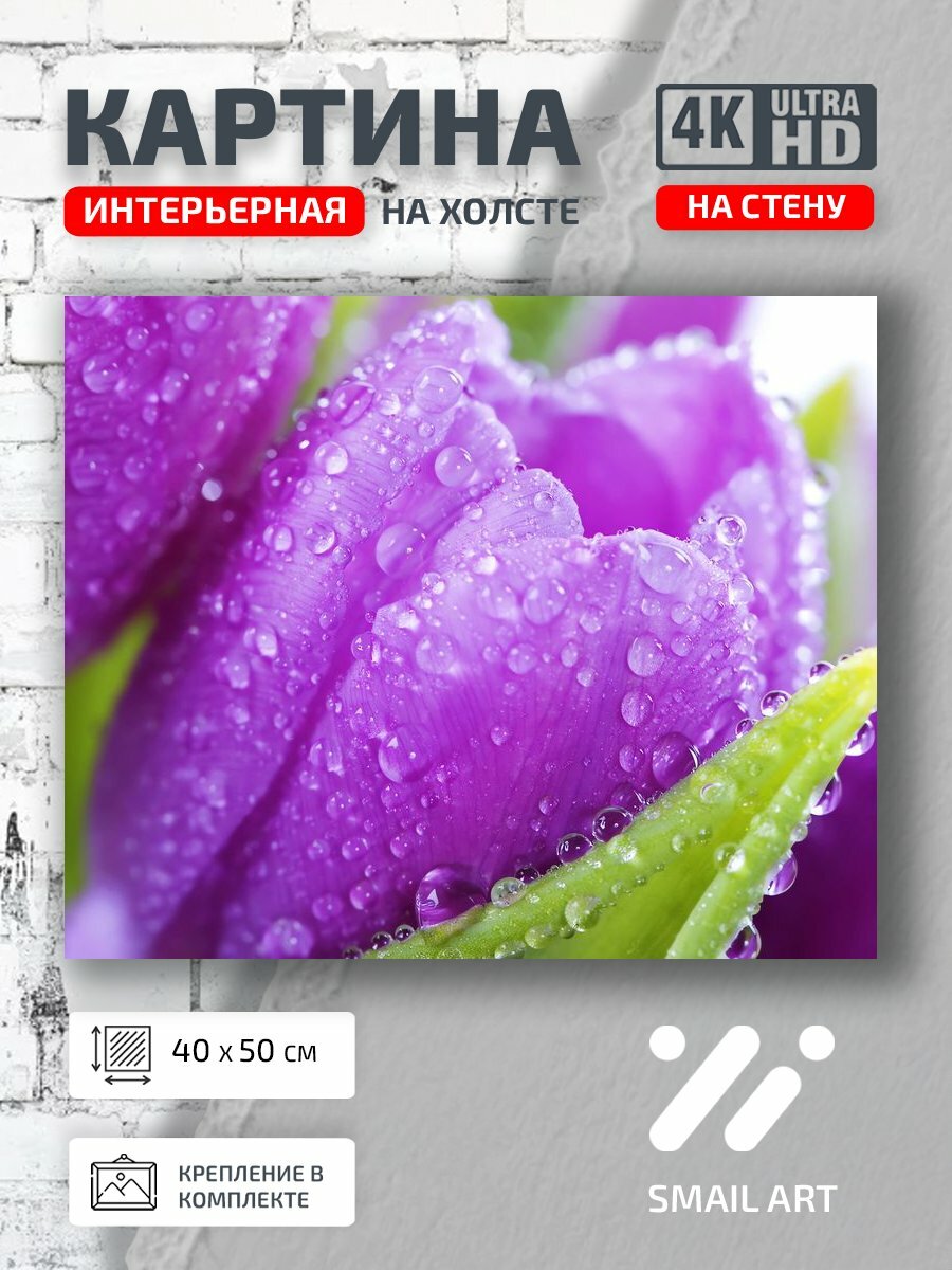Картина на холсте интерьерная 40 на 50 на стену Капли Macro для студии макро интерьер декор