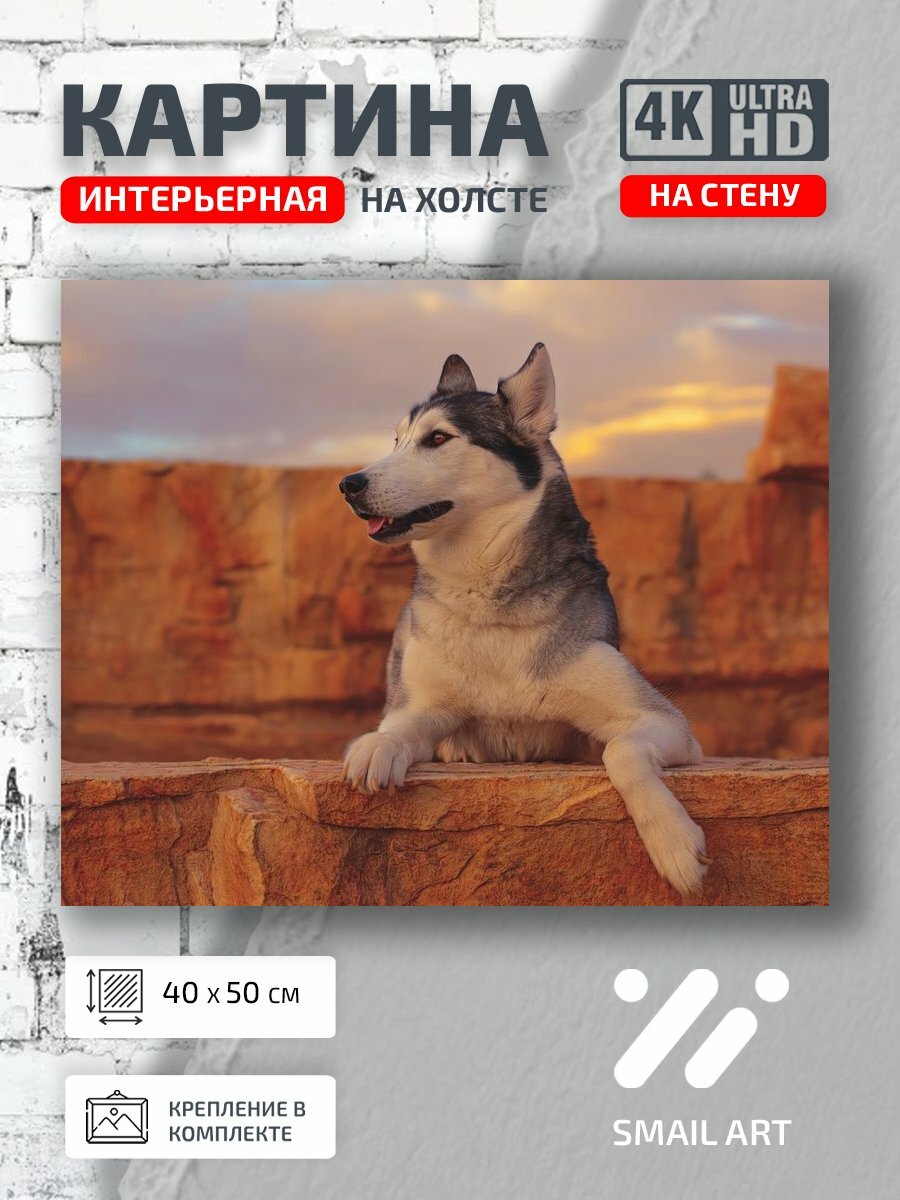 Картина на холсте интерьерная 40 на 50 на стену Собака dog для офиса пейзаж интерьер декор