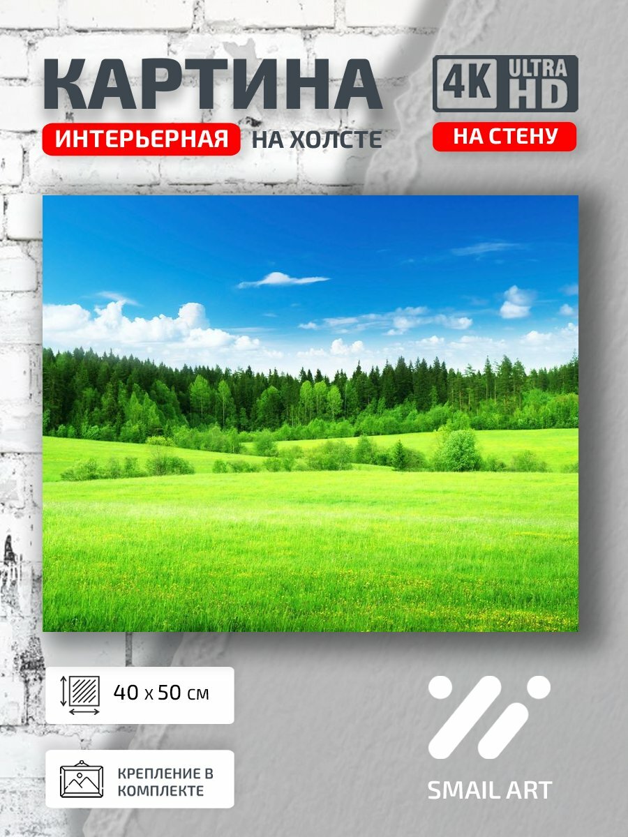 Картина на холсте интерьерная 40 на 50 на стену Лес forest для спальни пейзаж интерьер