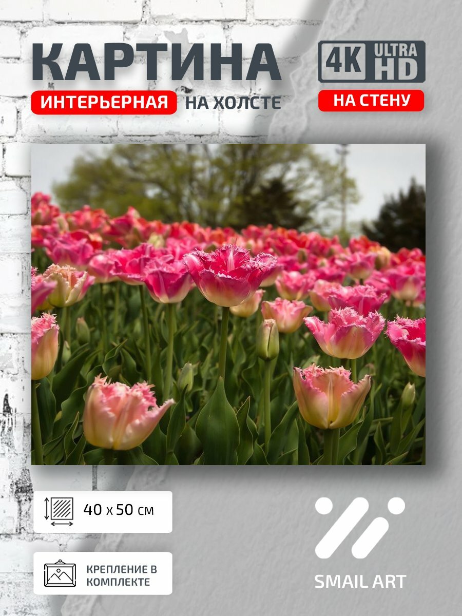Картина на холсте интерьерная 40 на 50 на стену Поле field для кафе пейзаж интерьер декор
