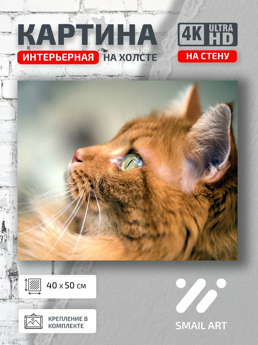 Картина на холсте интерьерная 40 на 50 на стену Взгляд Animal для кафе animal style декор