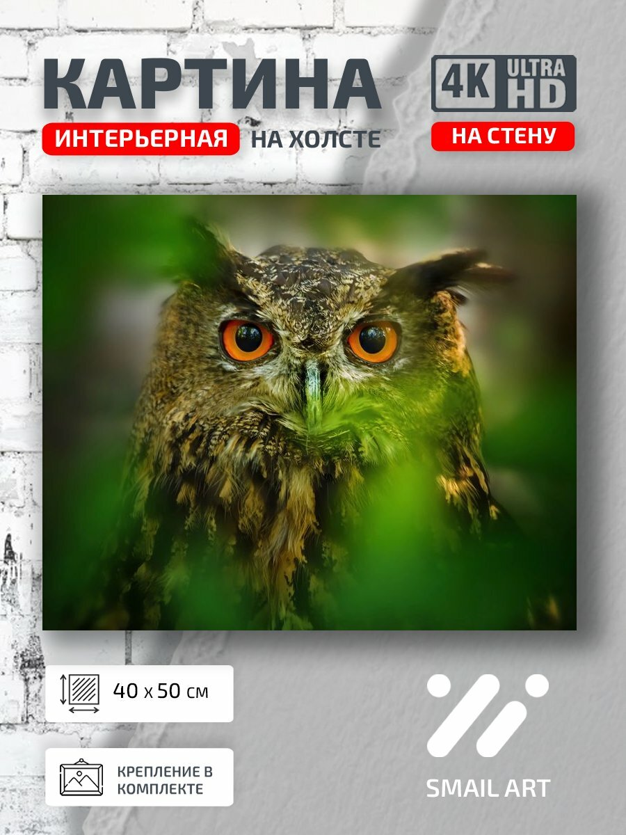 Картина на холсте интерьерная 40 на 50 на стену Глазами Animal для детской animal style