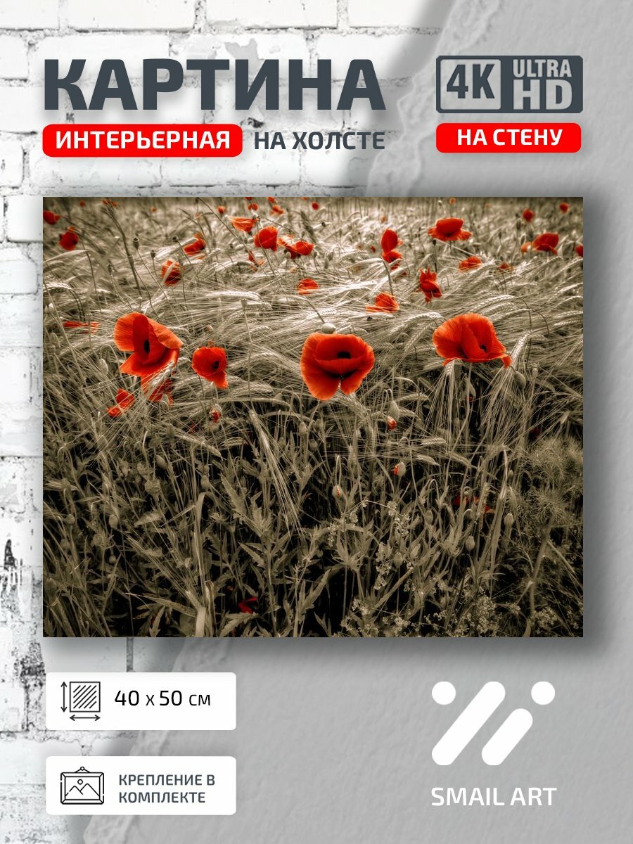 Картина на холсте интерьерная 40 на 50 на стену Трава mac для офиса пейзаж интерьер декор