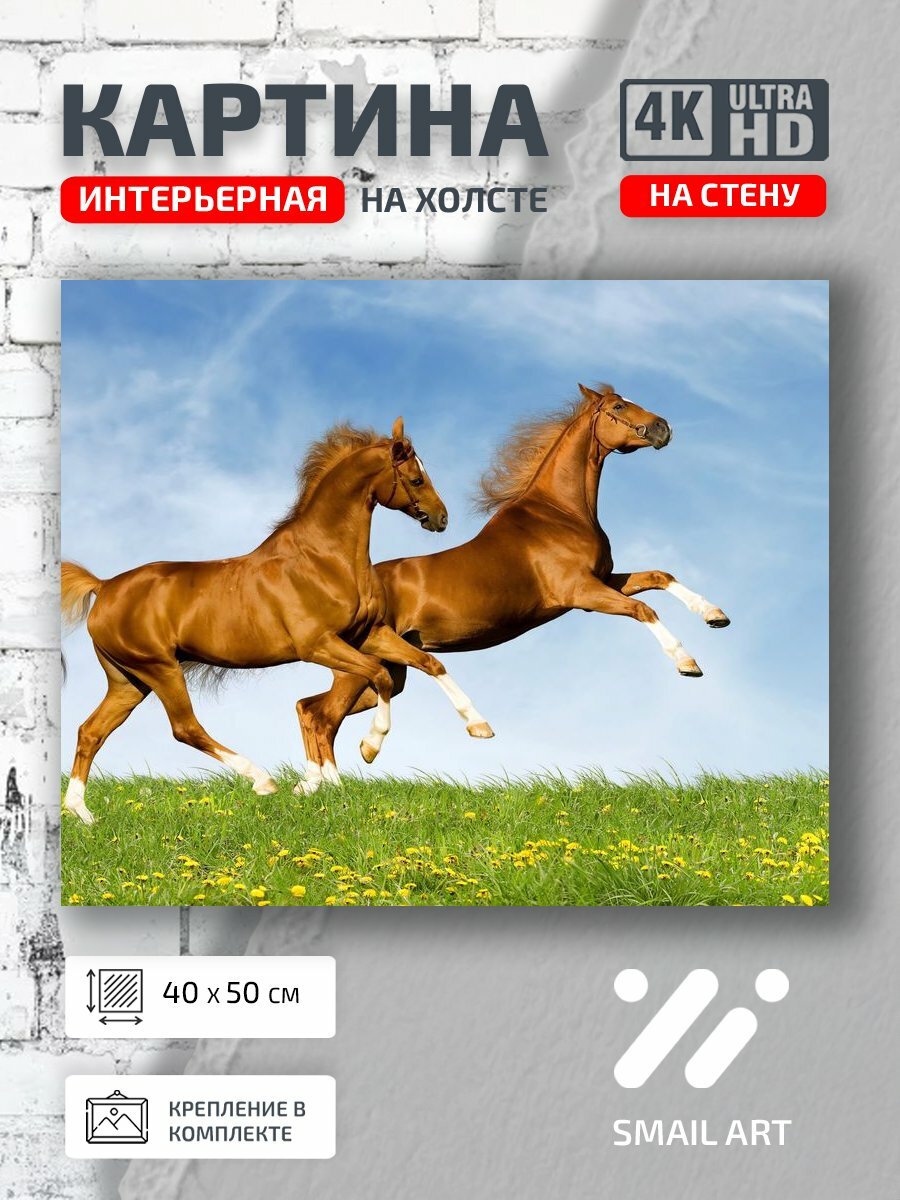 Картина на холсте интерьерная 40 на 50 на стену Лошади Animal для спальни animal style