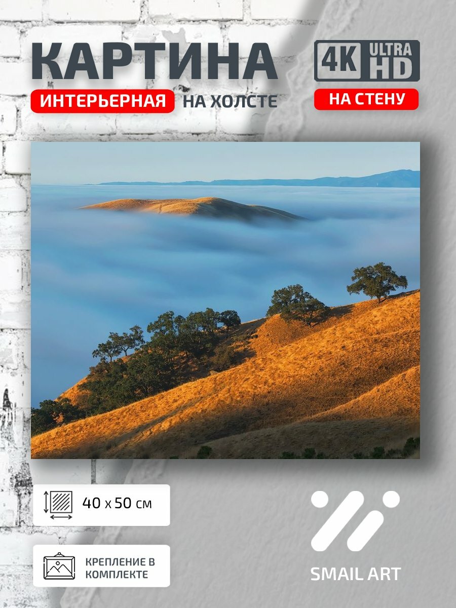 Картина на холсте интерьерная 40 на 50 на стену Облаками Landscape для кабинета пейзаж