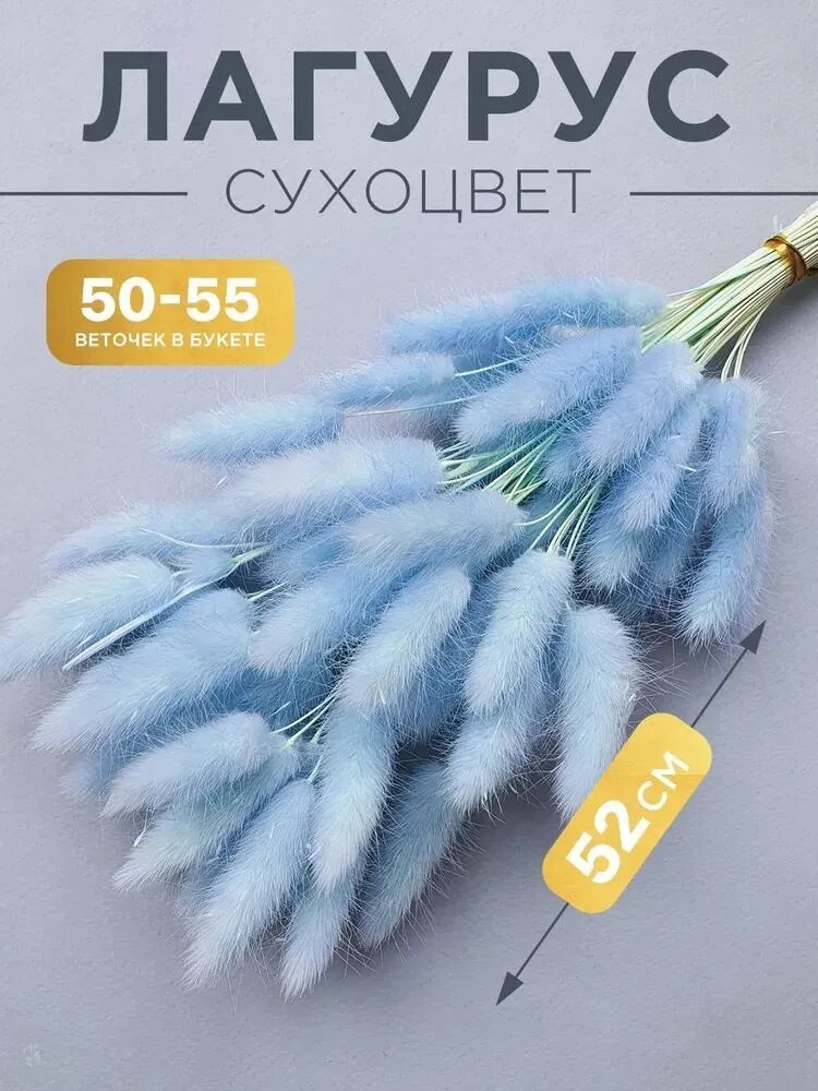 Сухоцветы Лагурус, 55 см, 40 гр, 55 шт
