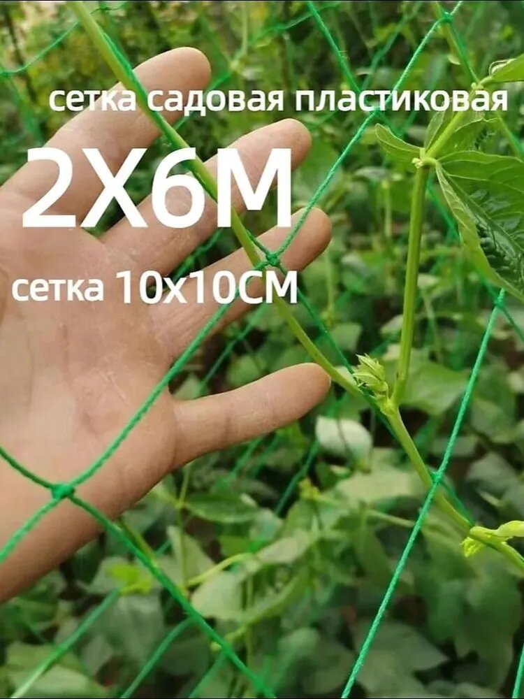 Сетка садовая, Пластик,6х2м