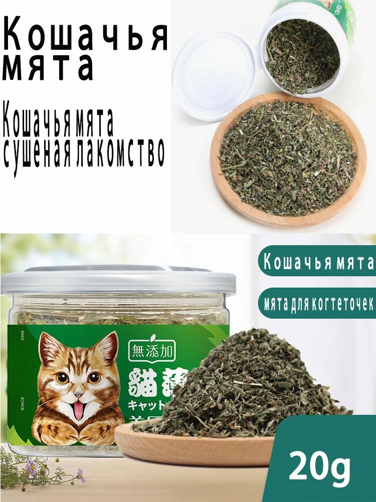 Кошачья мята лакомство 20 грамм, сухая трава котовник (мята для когтеточек)