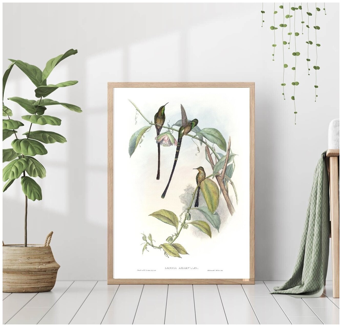 Постер "3 птицы на ветке" 50x70 без рамки на стену для интерьера