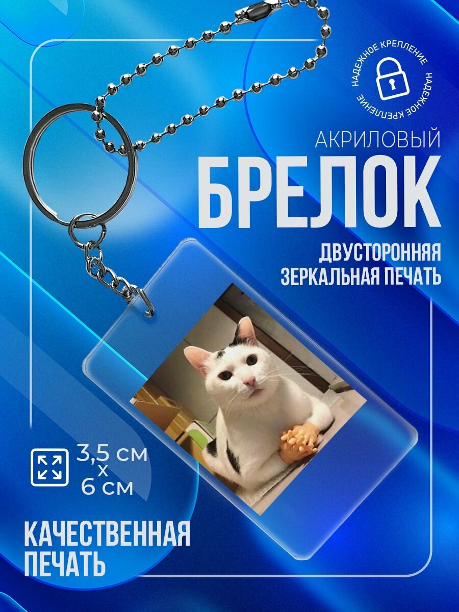 Брелок PNP