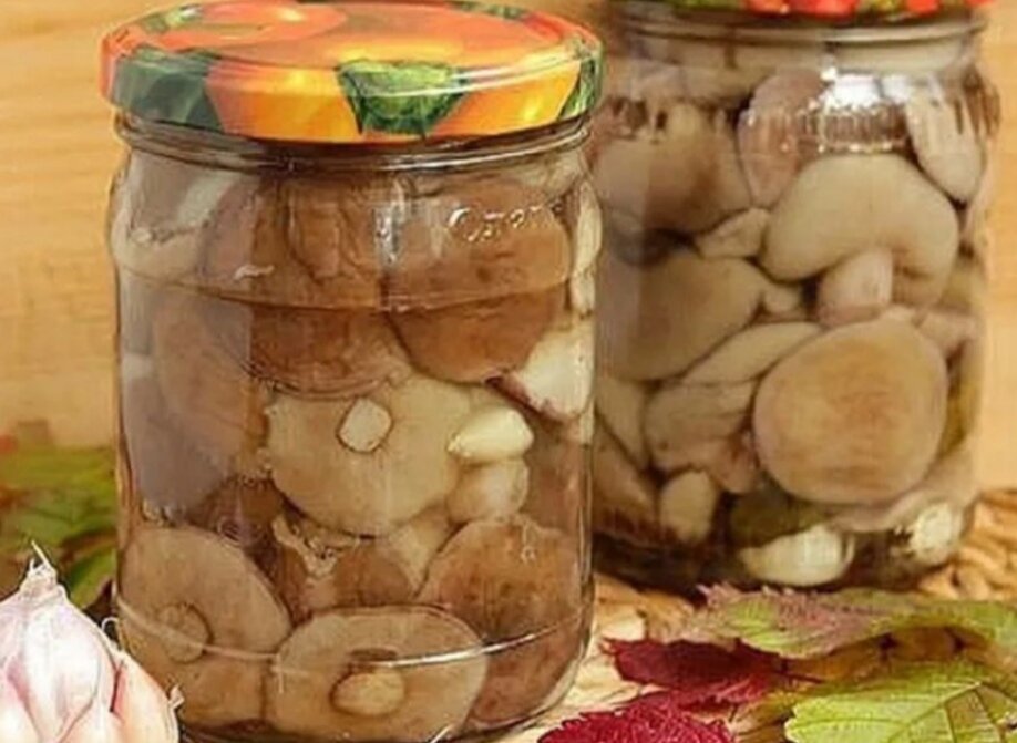 Маслята 500мл.