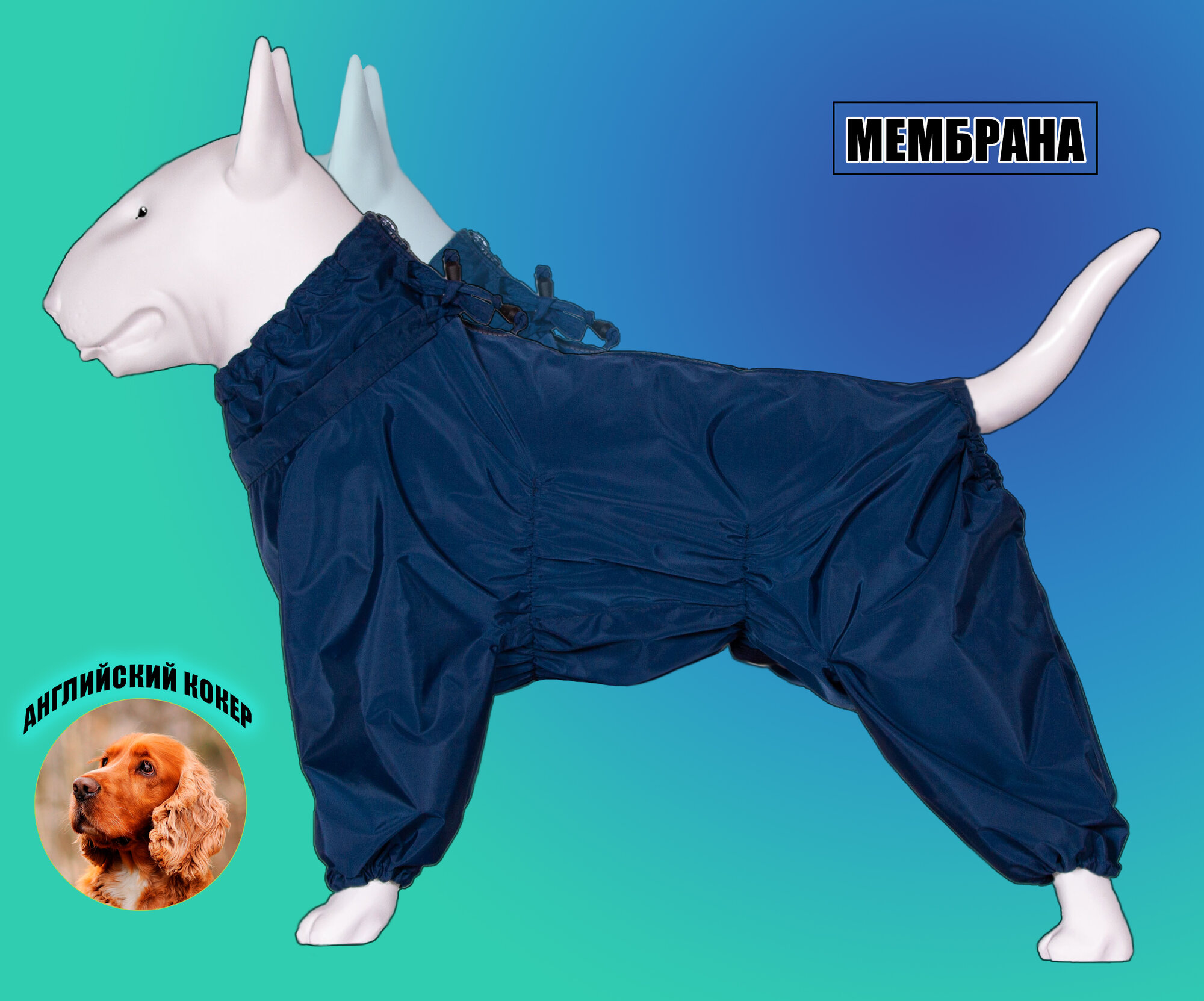 Дождевик-комбинезон для английского кокер-спаниеля суки, мембрана, цвет морская волна