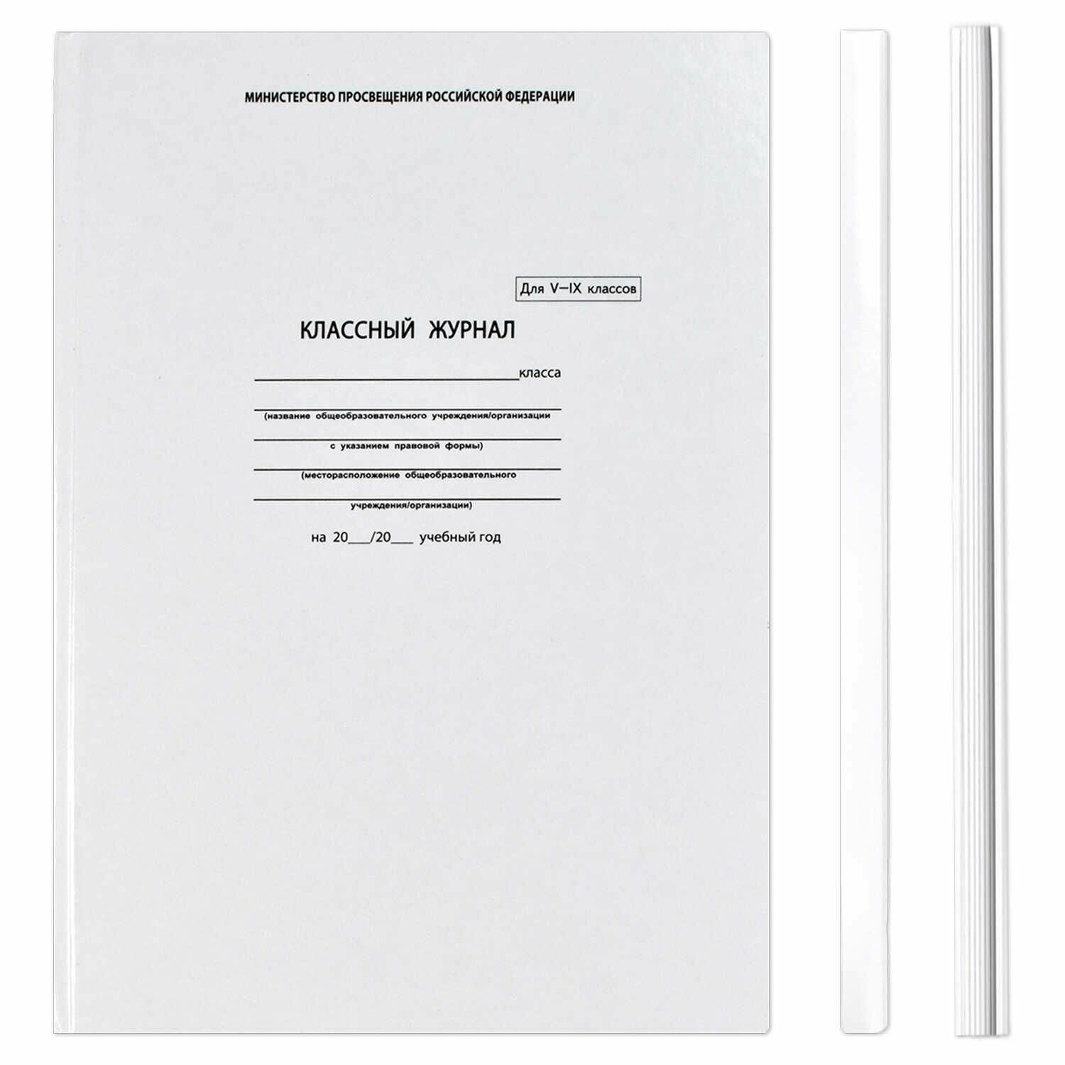 Классный журнал для 5-9 классов А4 96 листов