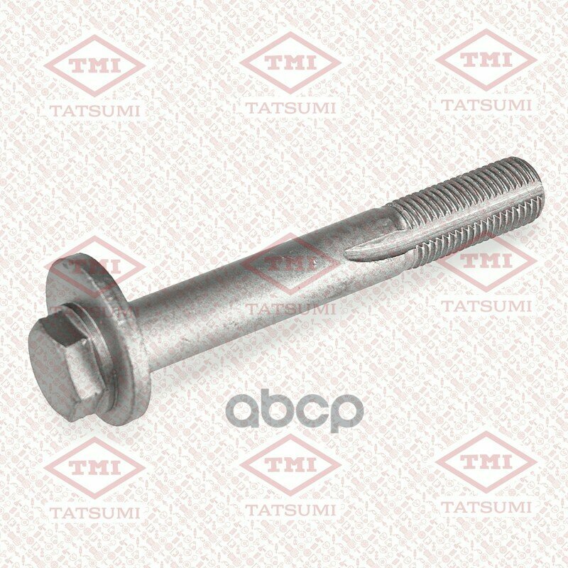 Болт-эксцентрик BMW E81/E87/F20/E90/F30/G20/E84/F25/G01/E53 00-> TATSUMI арт. TJA1041