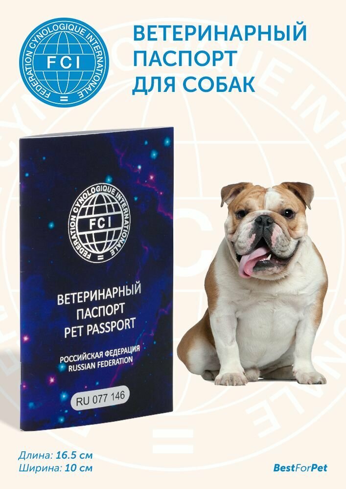 Международный ветеринарный паспорт FCI
