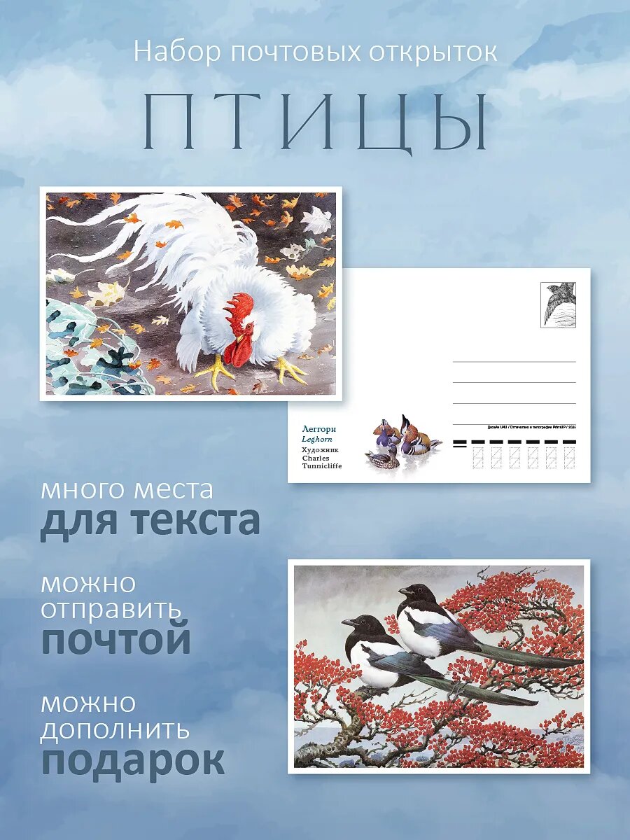 Почтовые открытки "Птицы" для посткроссинга, акварельные, набор 10 шт.