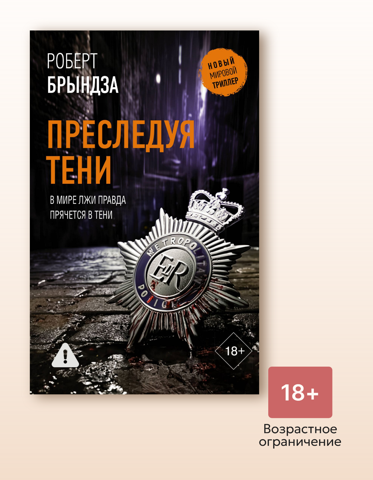 Книга "Преследуя тени", автор Брындза Р, издательство Жанры