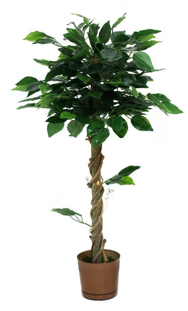 Искусственный бонсай Holodilova, декоративный элемент, дерево, 85х13х13 см