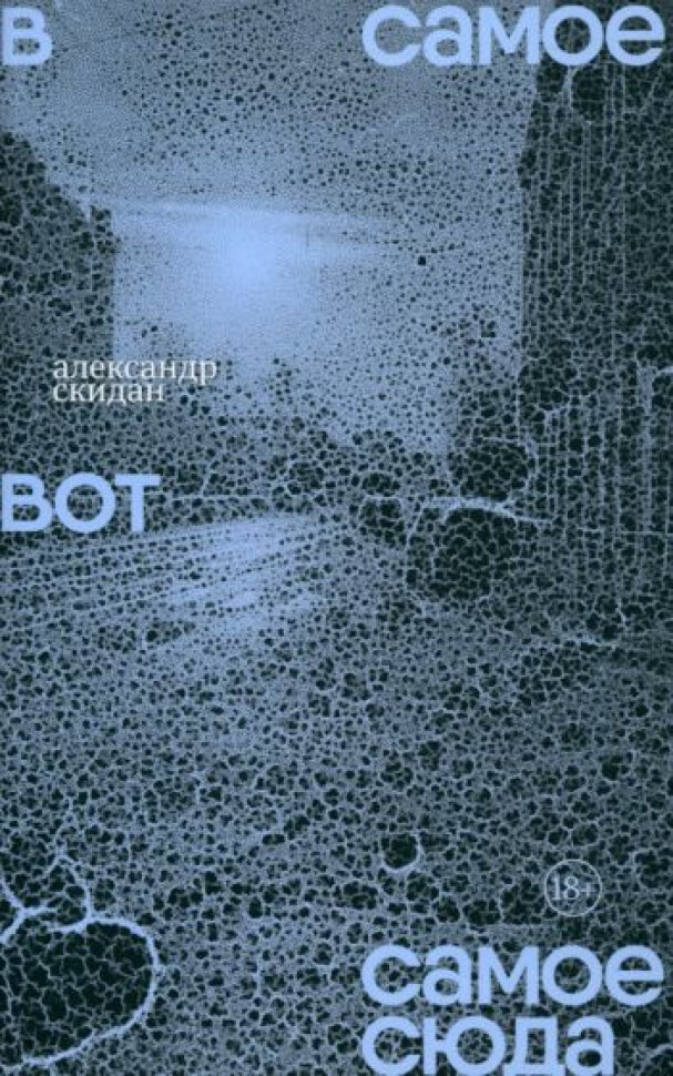 В самое вот самое сюда. Стихи 2020-2023
