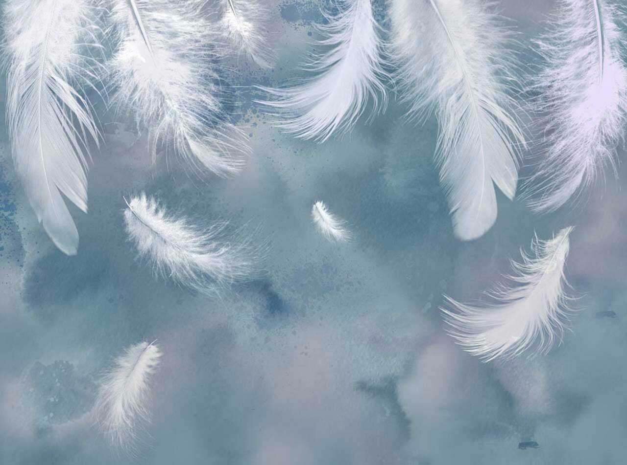 Фотообои Белые перья 7-934-S-Флок 270 x 200 см (ВхШ) Бесшовные, флизелиновые, влагостойкие обои
