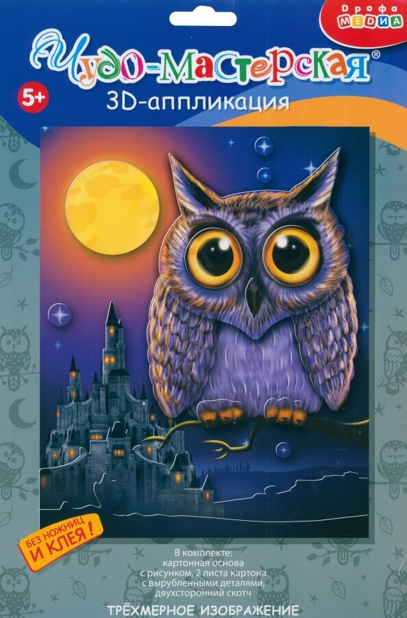 Творческий набор Дрофа 3Д аппликация Сова 4328