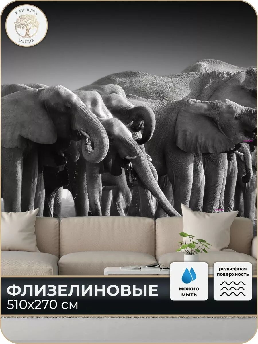 Фотообои Слоны в детскую в спальню на кухню 500х270