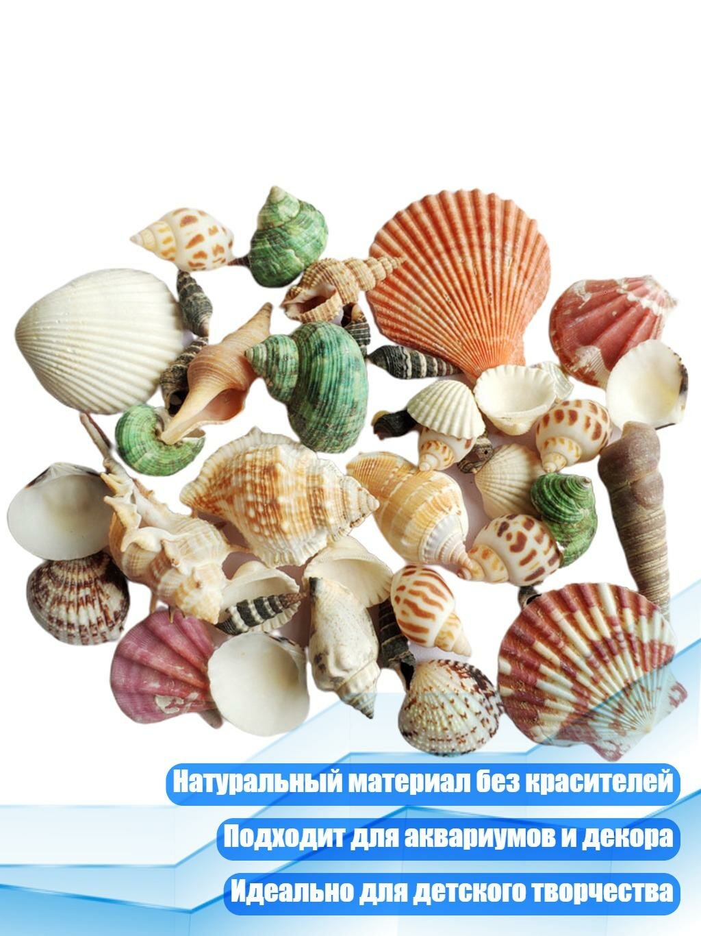 Домик для раков-отшельников «Морская раковина»