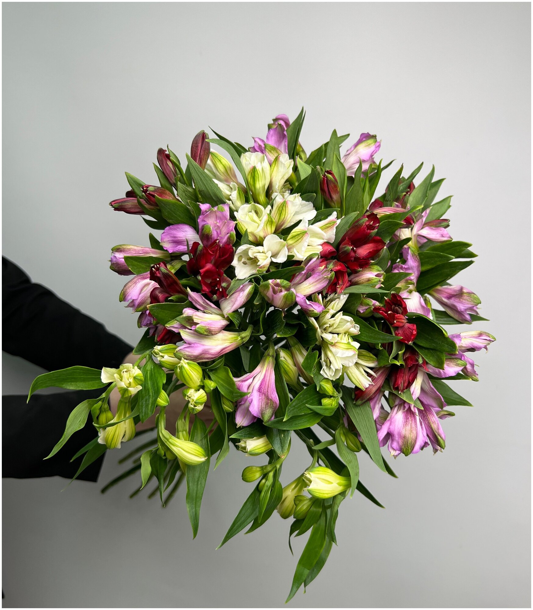 Букет цветов "Микс альстромерии" альстромерия, 17 шт, разноцветный, высота 60 см