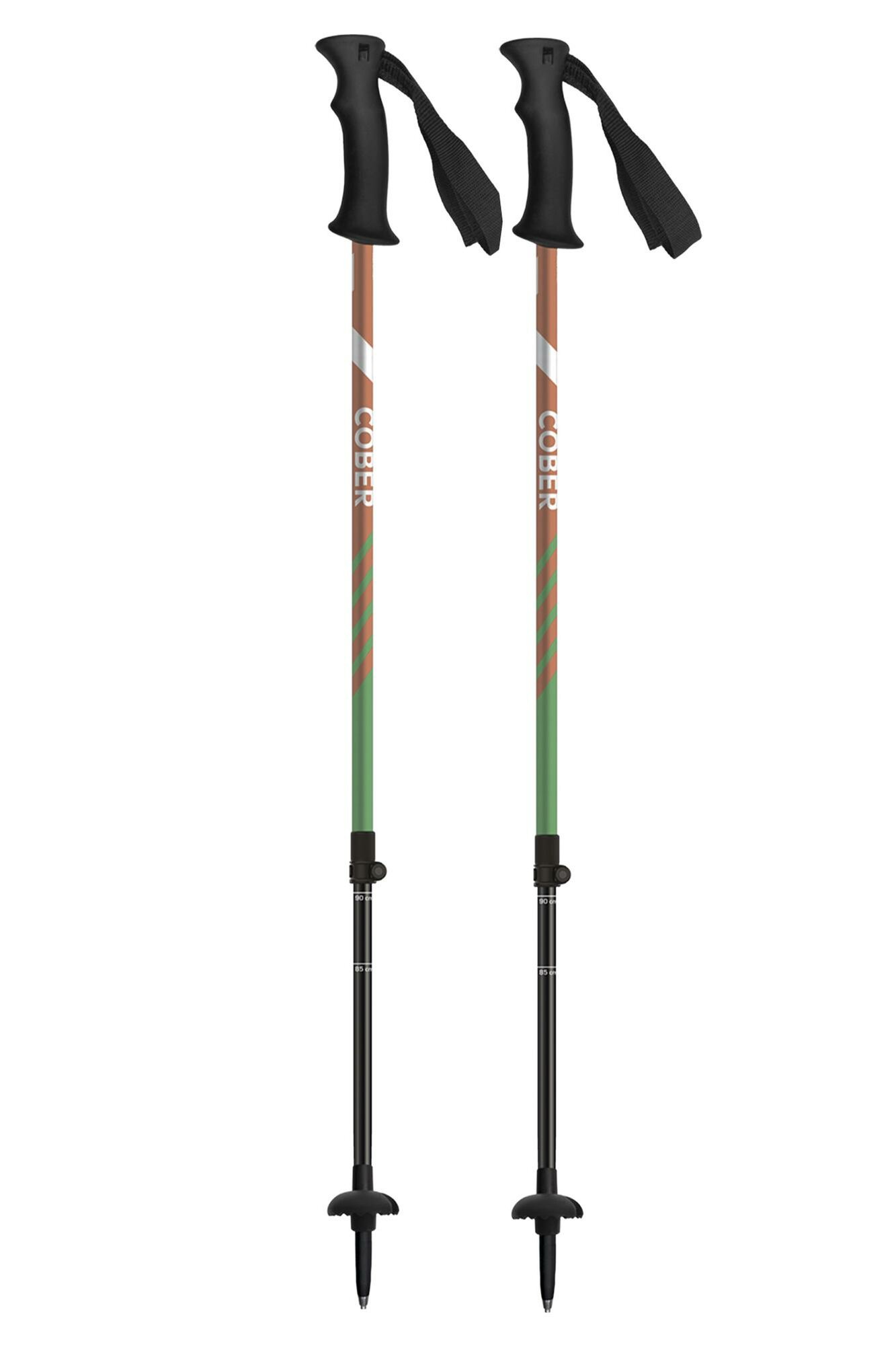 Палки треккинговые COBER Taraxacum (см:85-110)