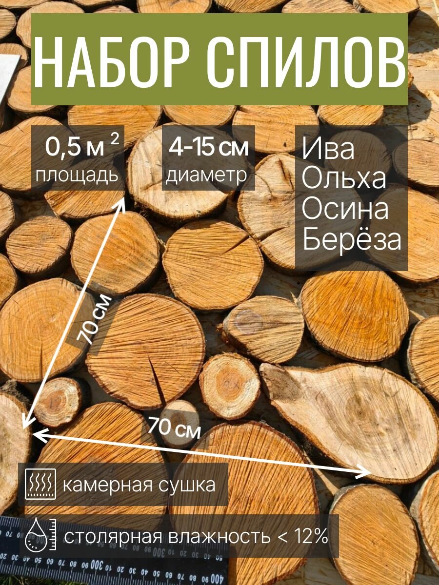 Набор спилов камерной сушки, d 4-14 см. h-3 см S-0.5 кв. м . для дизайна, творчества, трудов и декора.