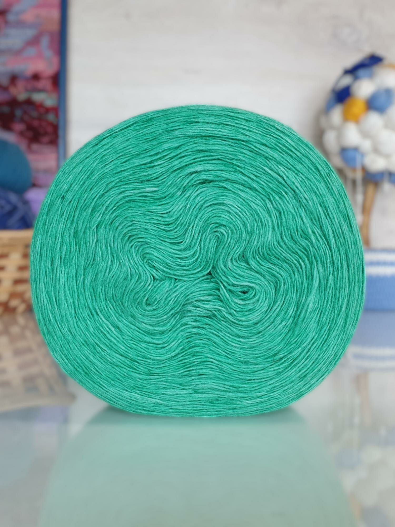 Пряжа Рассказовская Ангорка, амазон - 39_1, 95% шерсть ангорской козы, 5% акрил, 2 мотка, 250 г, 700 м.