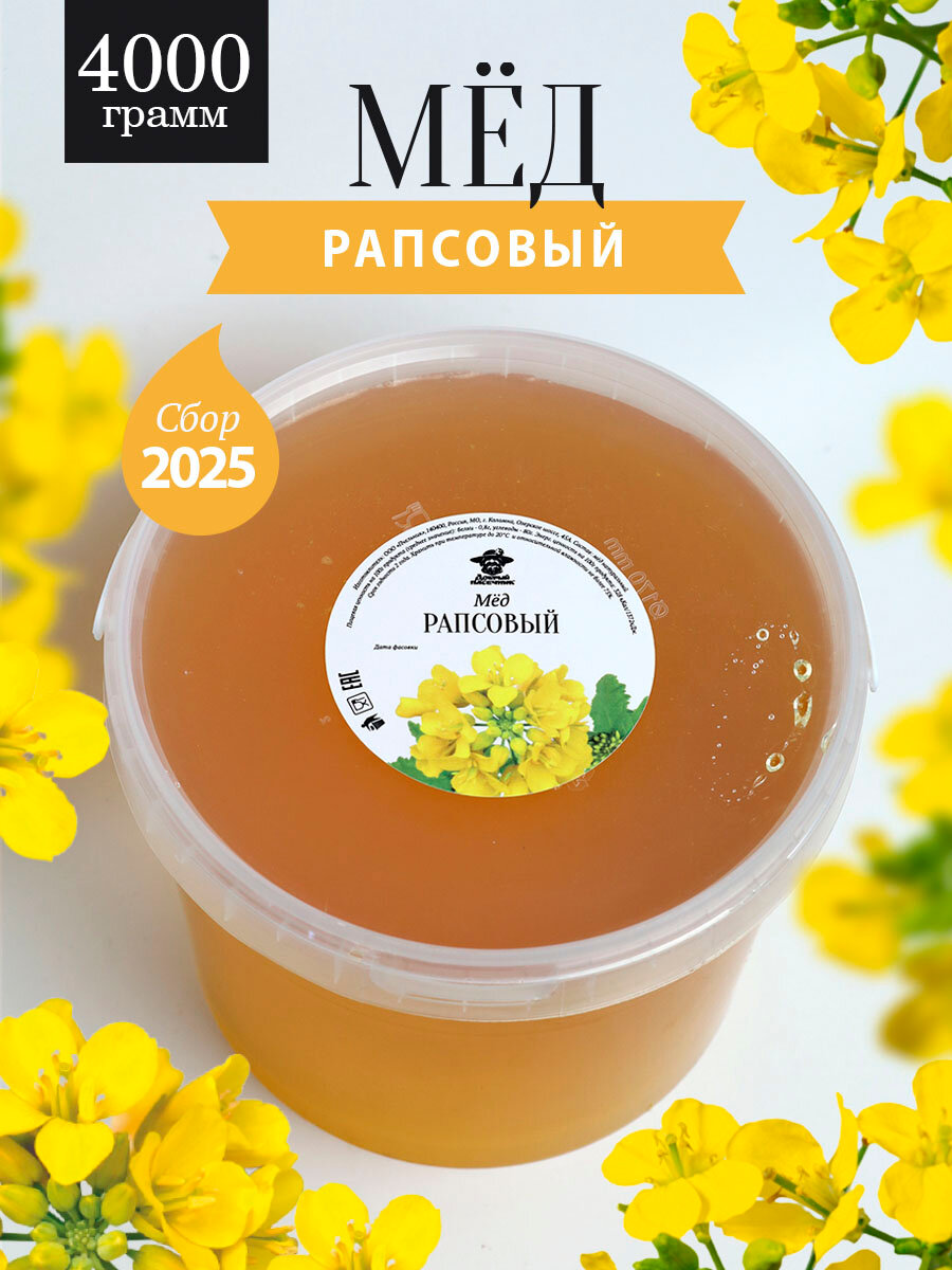 Рапсовый мед жидкий 4000 г, для иммунитета, в подарок, к чаю