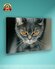 Картина Коты 60*40