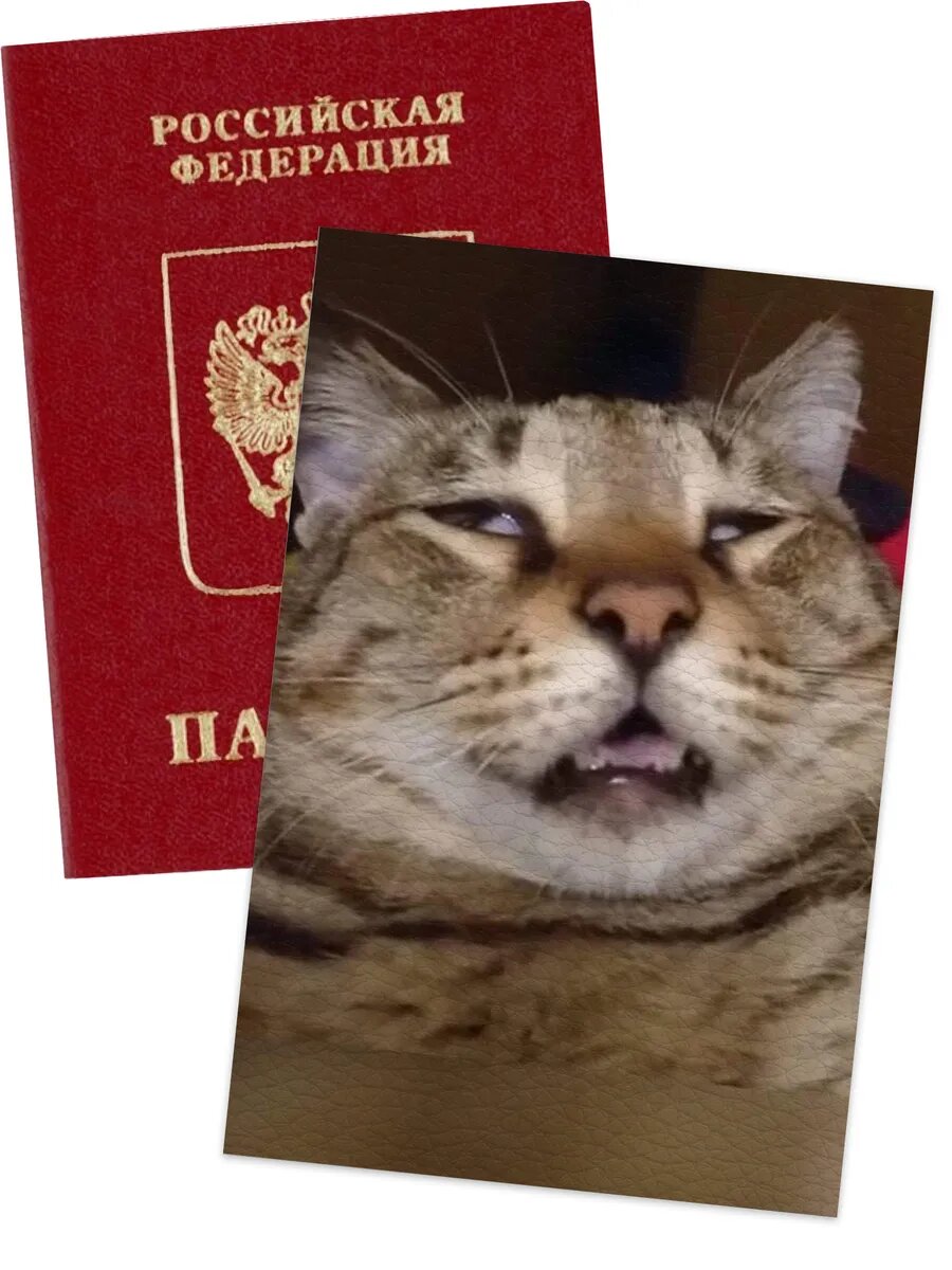 Обложка для паспорта