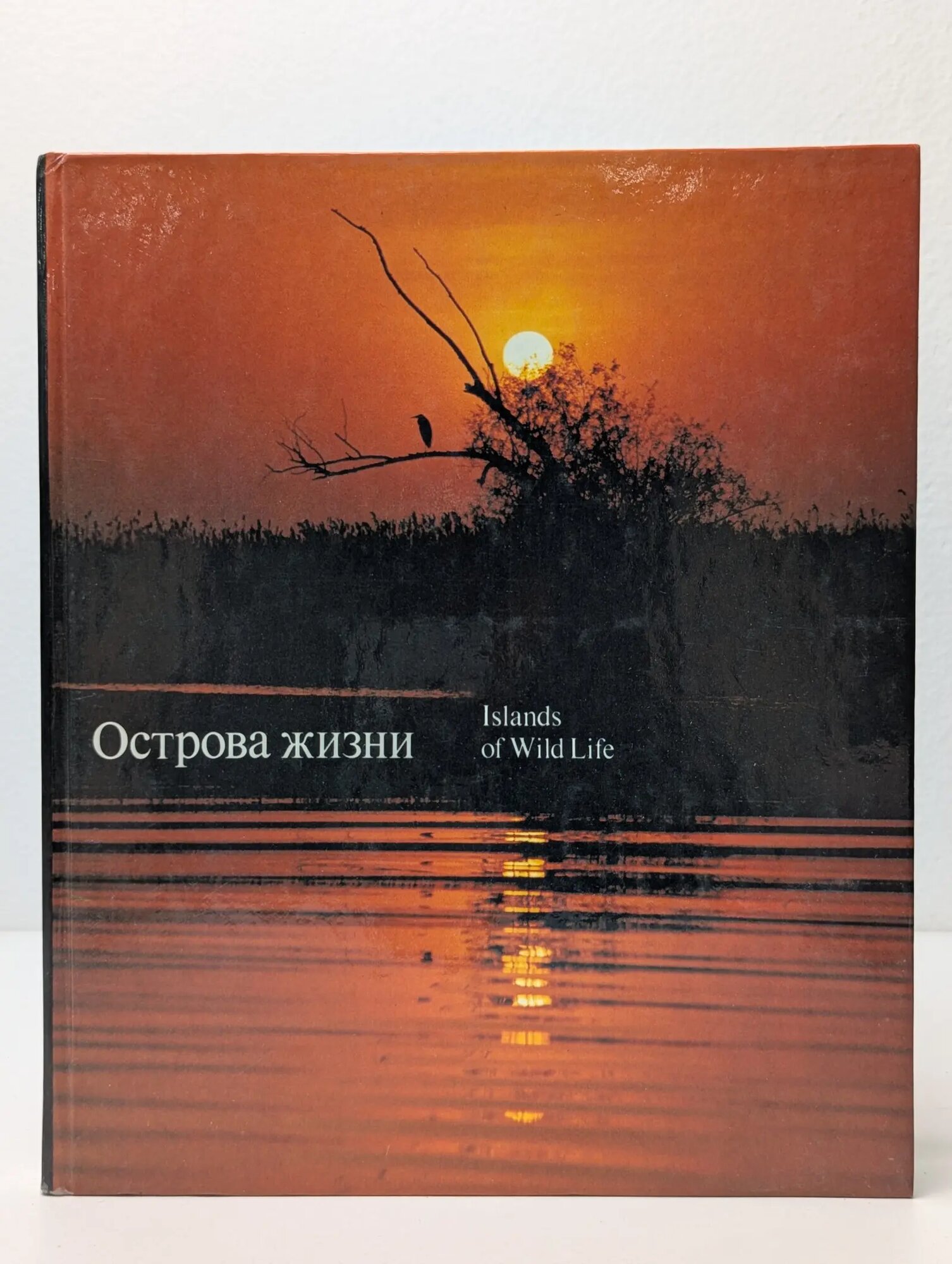 Острова жизни Сборник 1988