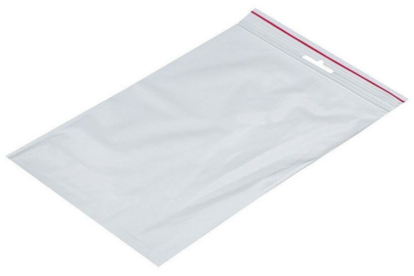 Пакет с замком (Zip Lock) с европодвесом 15 х 22 см, 60 мкм, 100 шт/уп