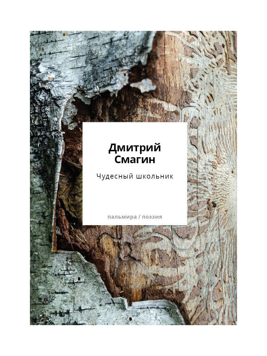 Чудесный школьник: сборник стихотворений, Смагин Д. Г, Т8 RUGRAM
