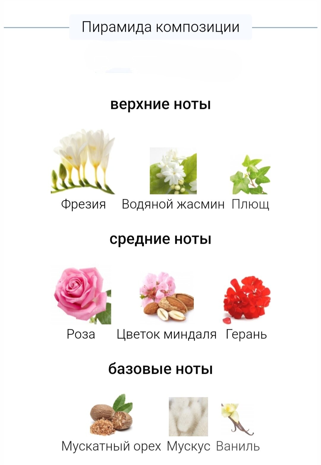 Духи ручной работы по мотивам 'Forever and Ever CD', для женщин — фото 1