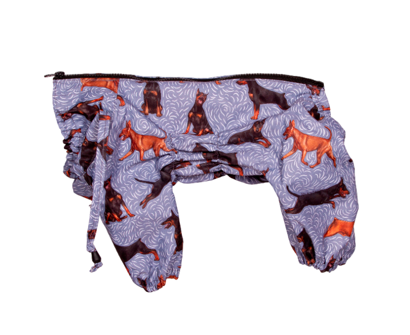 Комбинезон-дождевик для цвергпинчера (карликового пинчера) суки, мембрана, дизайнерский принт, цвет Цвергпинчеры