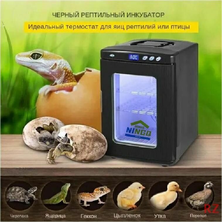 Инкубатор для рептилий