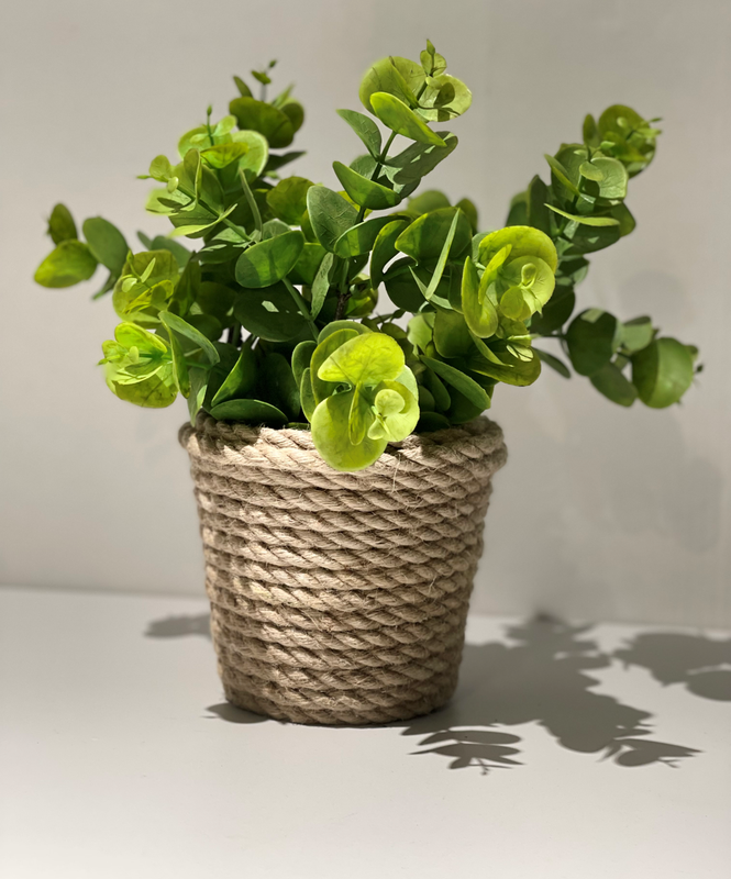 Искусственное растение "Эвкалипт Бэби" в джутовом кашпо В 25 Ш 20