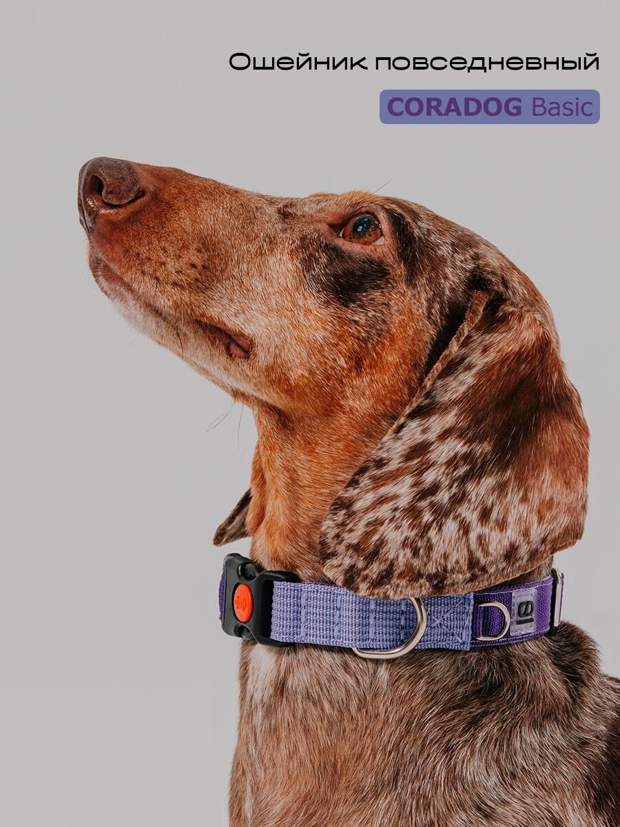 Ошейник повседневный, CORADOG Basic, для маленьких собак, сиреневый фиолетовый, размер S 28-44 см