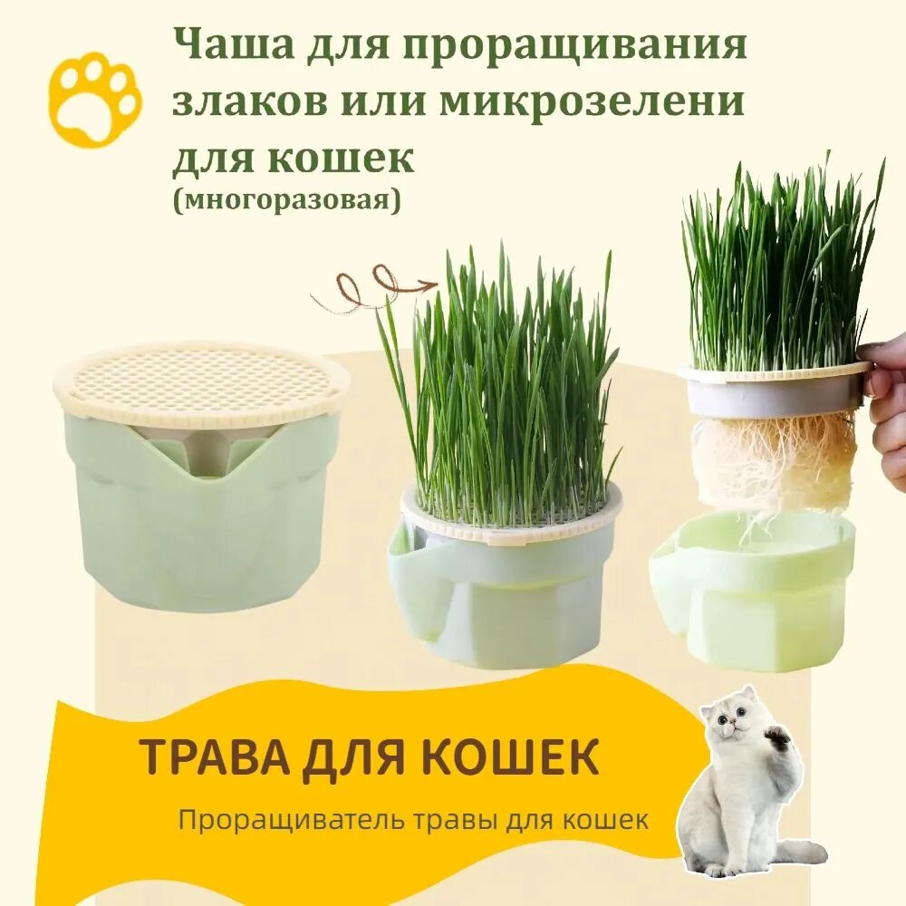 Проращиватель травы для кошек / для микрозелени гидропоника / набор для выращивания