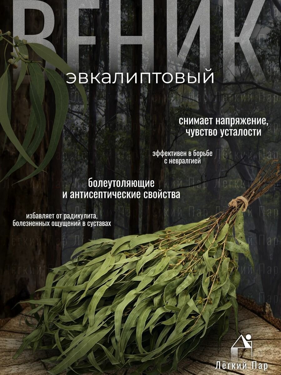 Новый продукт 2025 годаВеник Эвкалиптовый, травяной для бани, 1 шт