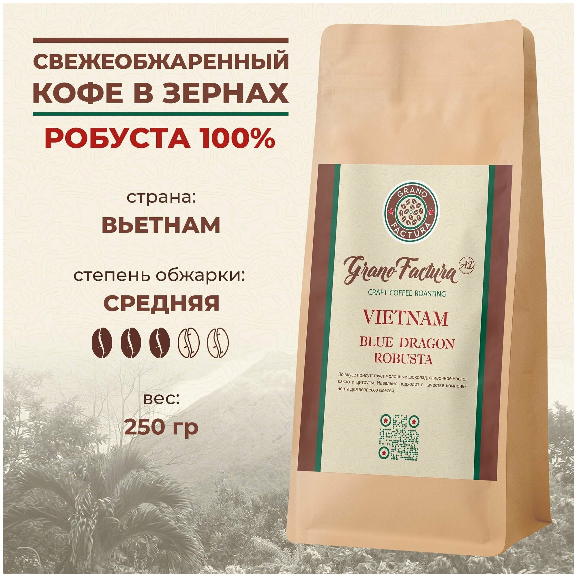 Кофе в зернах 250 гр, Робуста 100%, свежая обжарка Vietnam Robusta Blue Dragon / Вьетнам Робуста Блю Драгон, свежеобжаренный зерновой кофе 250гр